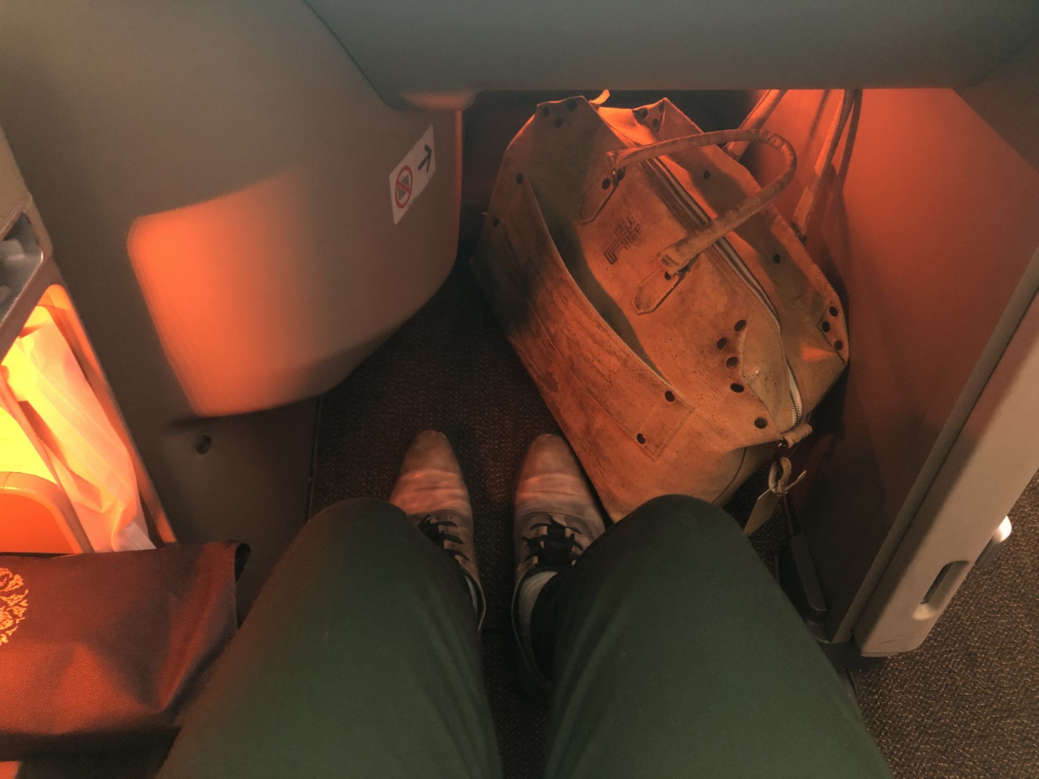 Business Class Review : 中国東方航空(MU) MU543 上海浦東(PVG) – シンガポール(SIN ...